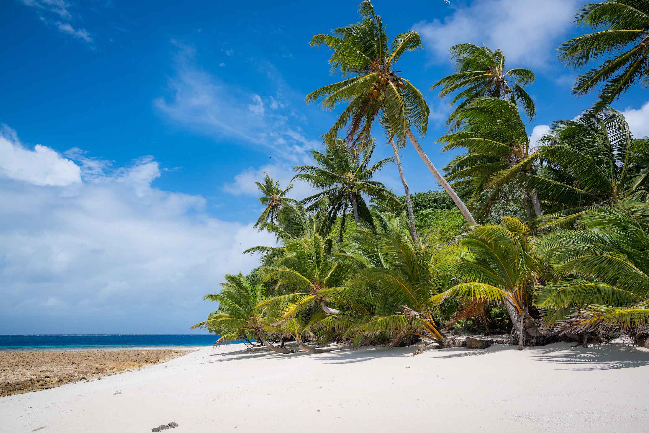 Interesting Facts About Marshall Islands Pacific Island Living Interesting Facts About Marshall Islands Pacific Island Living