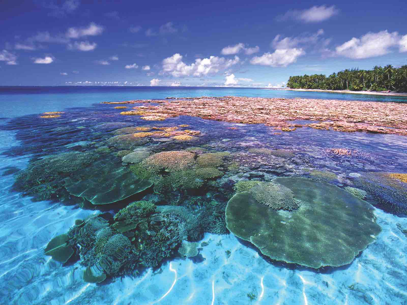 The Magnificent Marshall Islands Pacific Island Living Travel The Magnificent Marshall Islands Pacific Island Living Travel